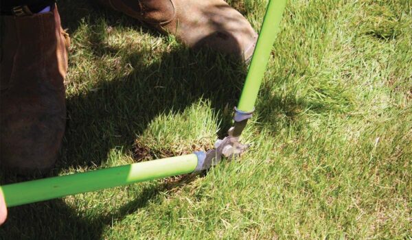 How to lay instant lawn: our step by step guide - The Turf Farm ...